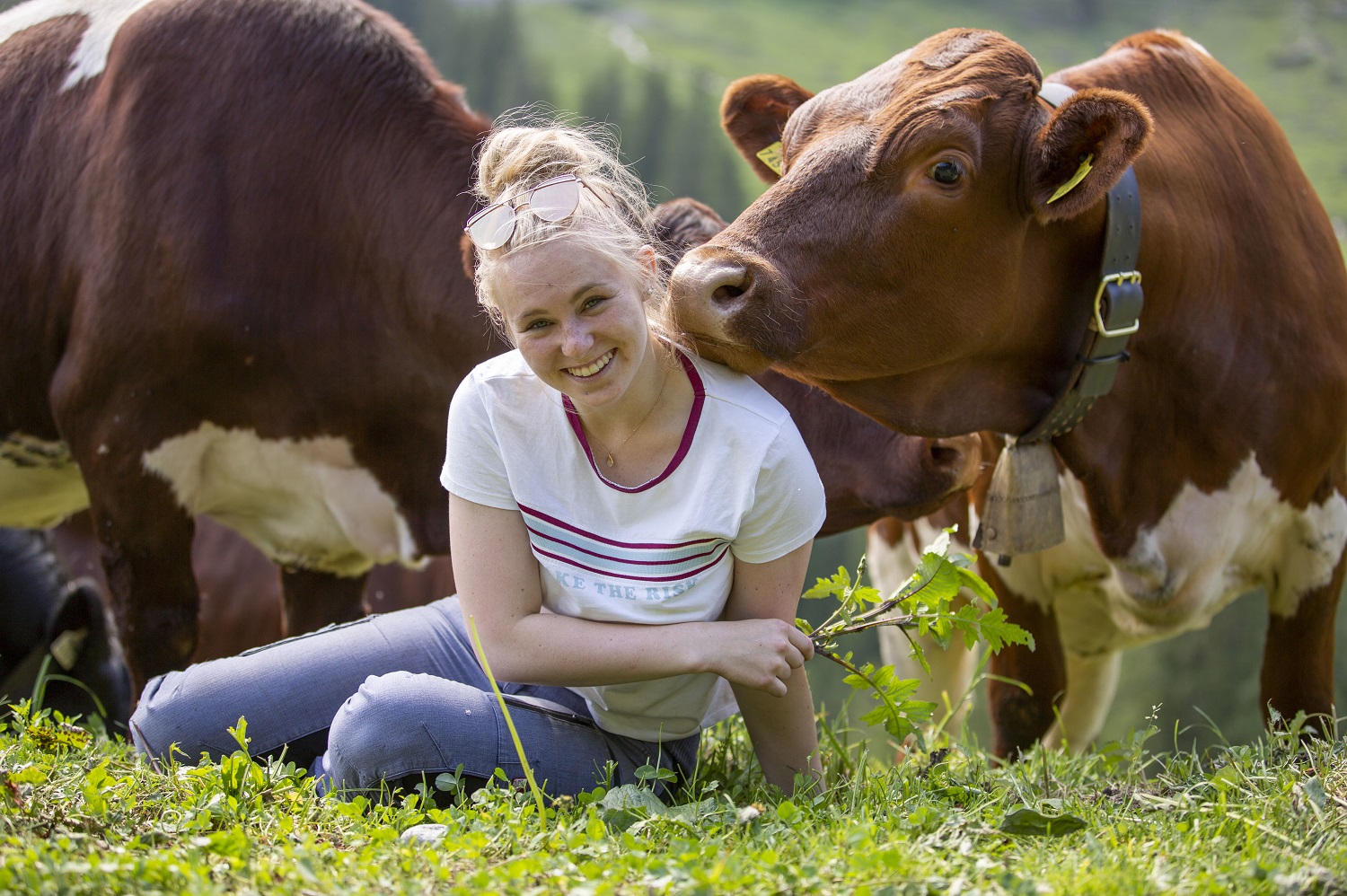 Werde Profi in der biologischen Landwirtschaft – Landwirtschaftliche ...